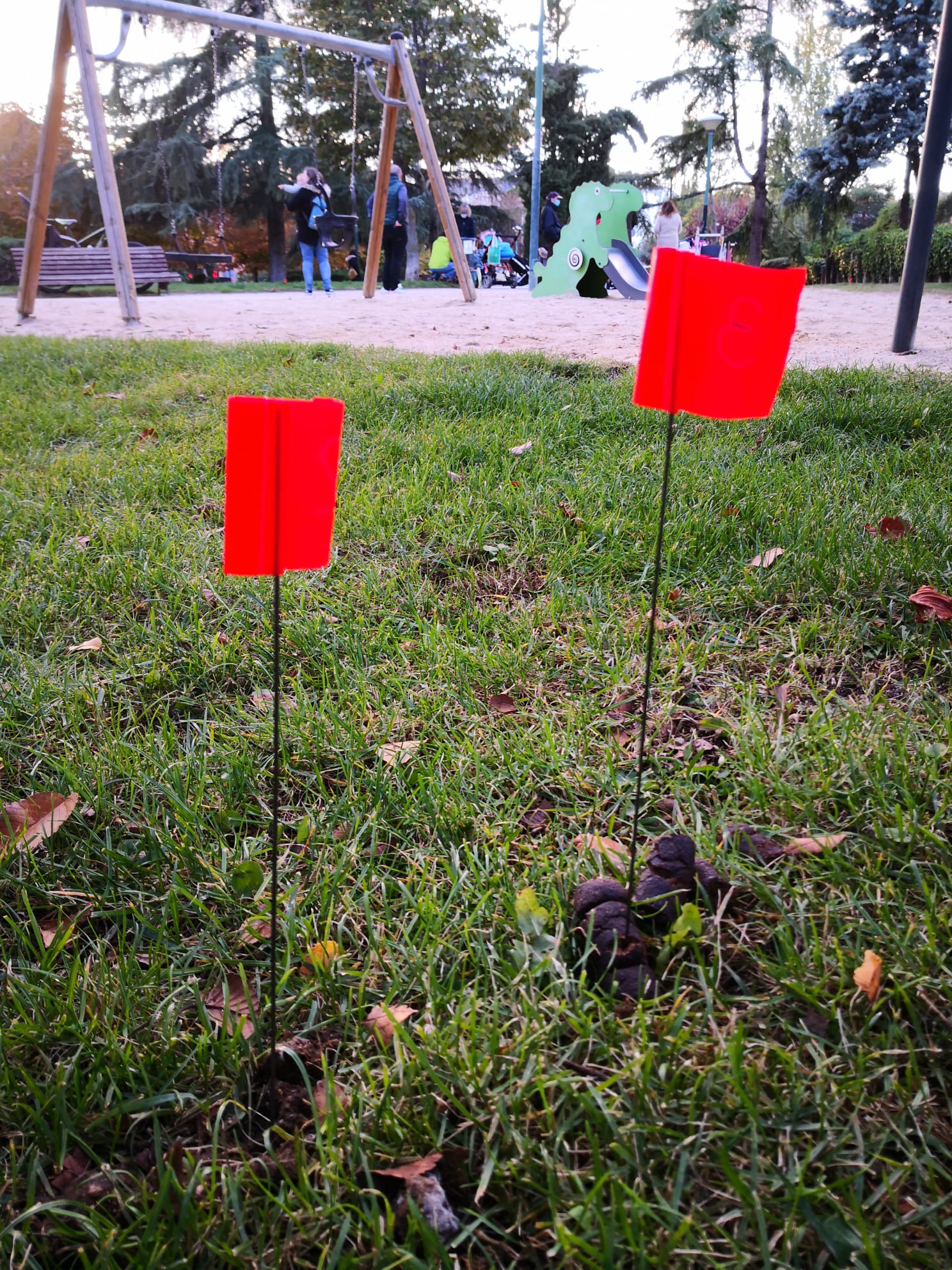 EL PARQUE RUPERTO CHAVARRI EN POZUELO DE ALARCÓN LLENO DE CACARRUTAS DE ...